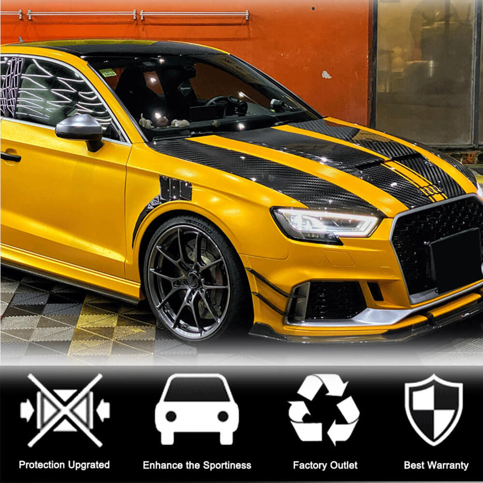 Audi RS3 Dry Carbon Fiber Front Bumper Canard Air Vent Aero Flicks
